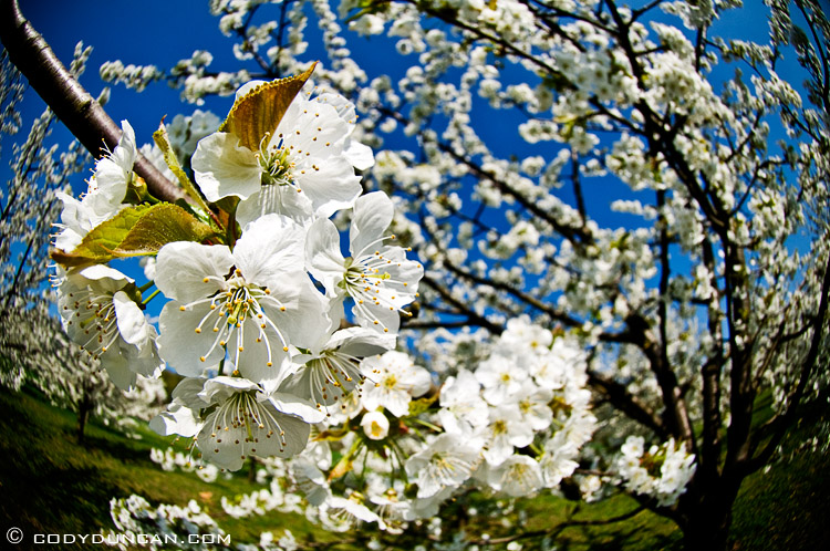 Photos of Spring in Bavaria, Germany | Cody Duncan Photography